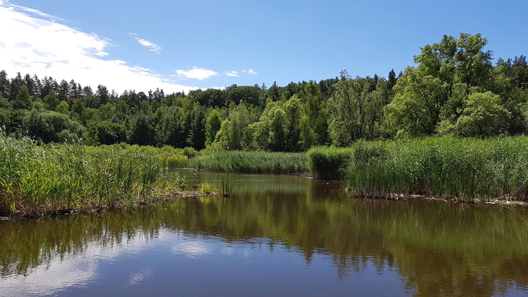 Grunewald Berlin: A Hiking Tribute to Morrissey & Nico (S-Heerstraße ...
