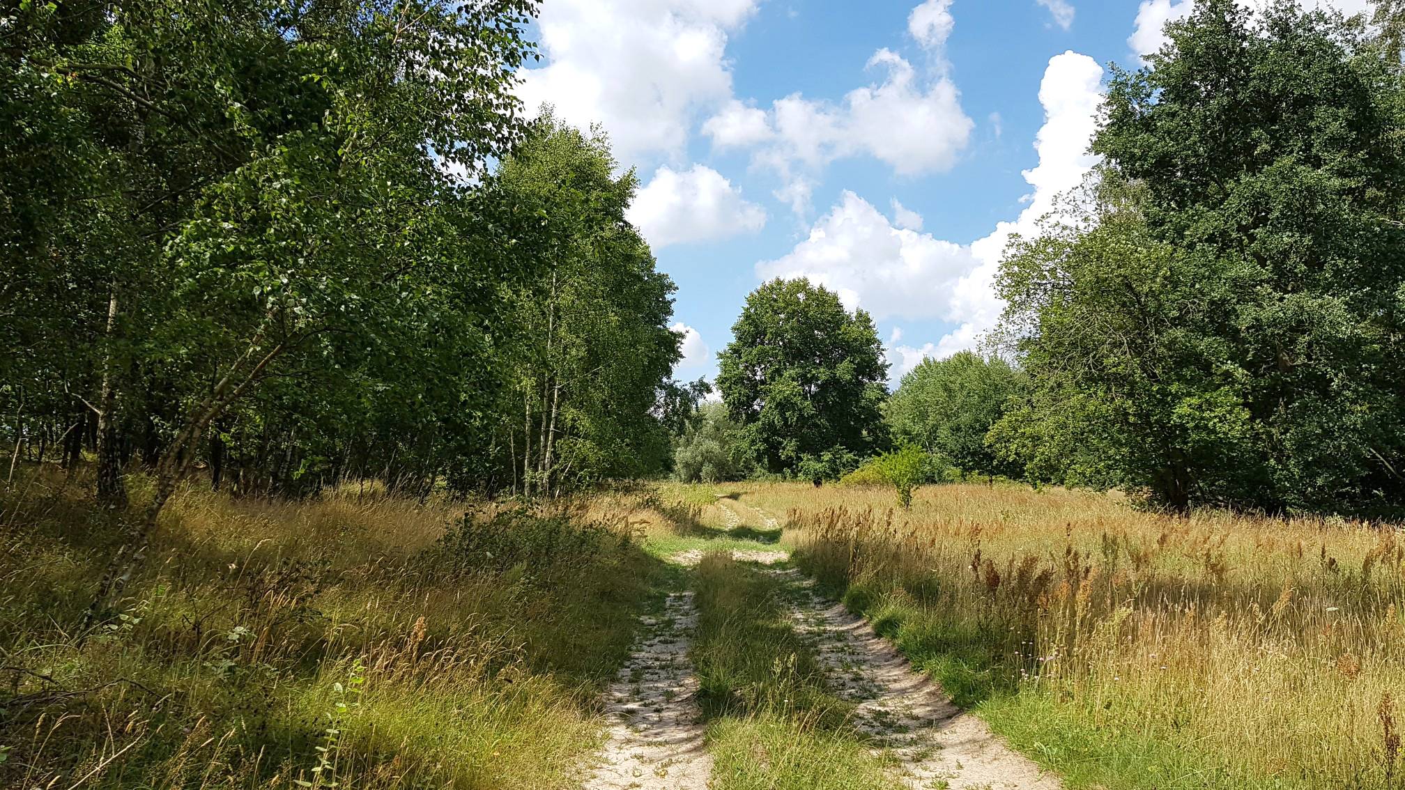 Von Falkenberg durch den Gamengrund und an der Burgruine Breydin vorbei ...