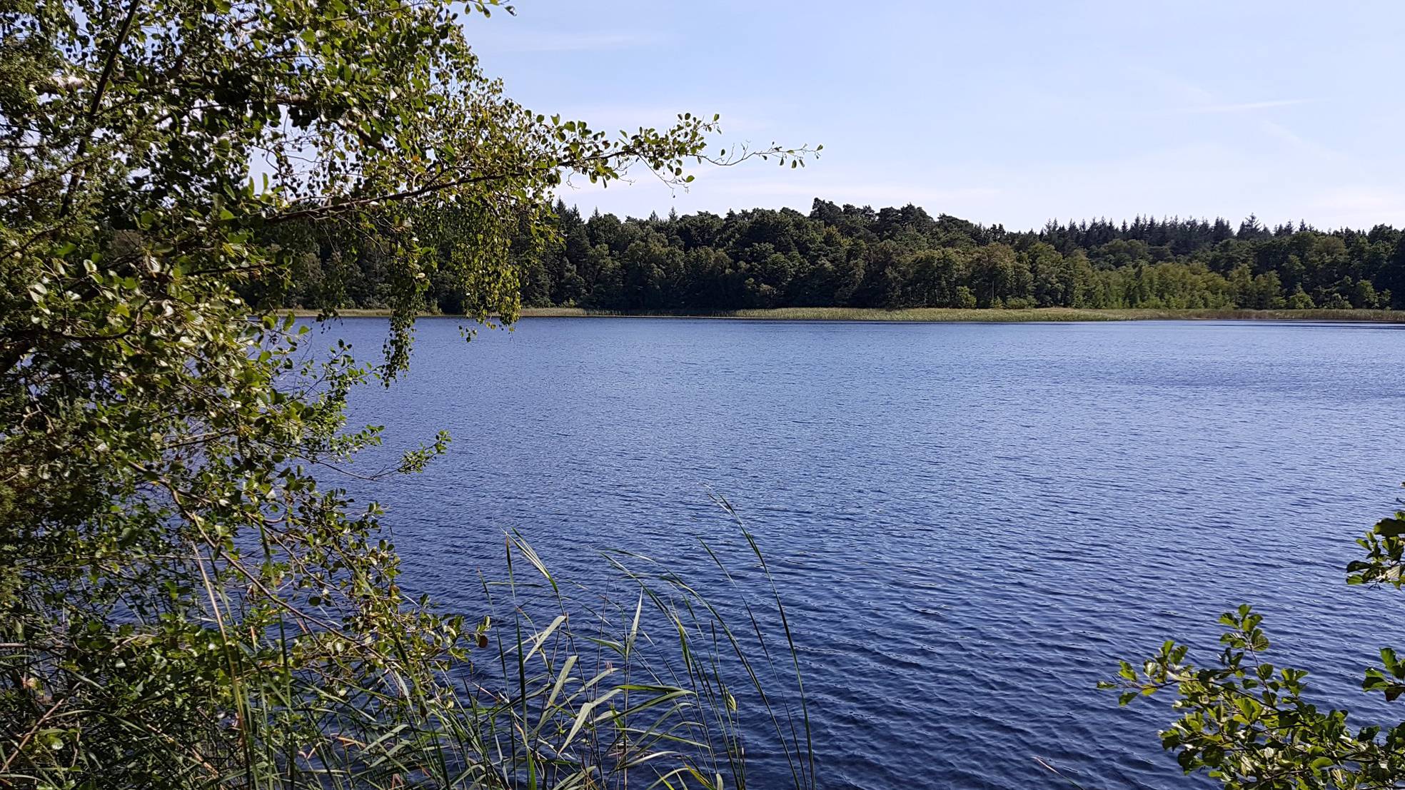 6-Seen-Tour im Naturpark Barnim von Lanke über Prenden und Sophienstädt ...