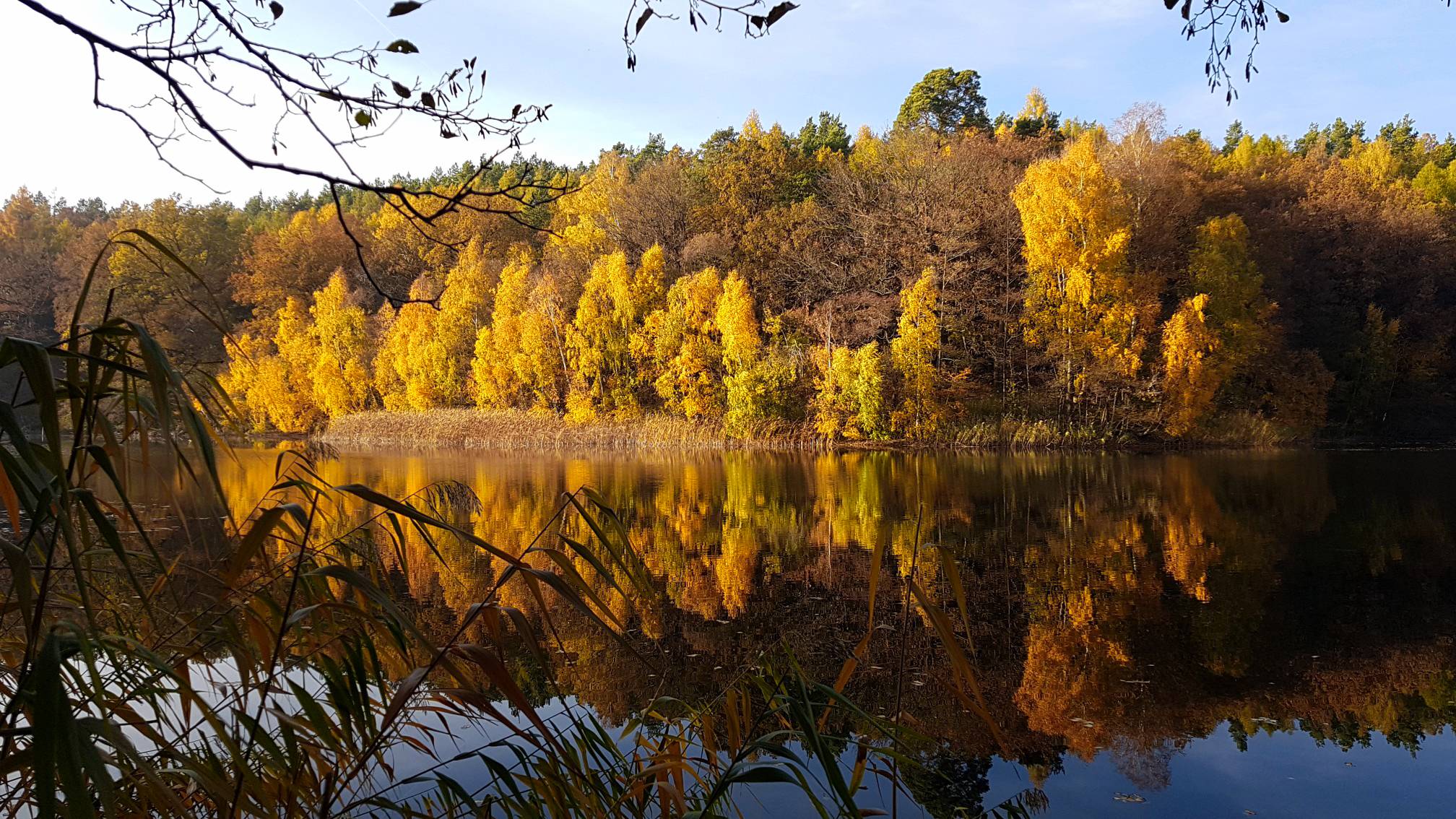 Von Neuholland zum Schloss Liebenberg und an den Seen entlang nach ...
