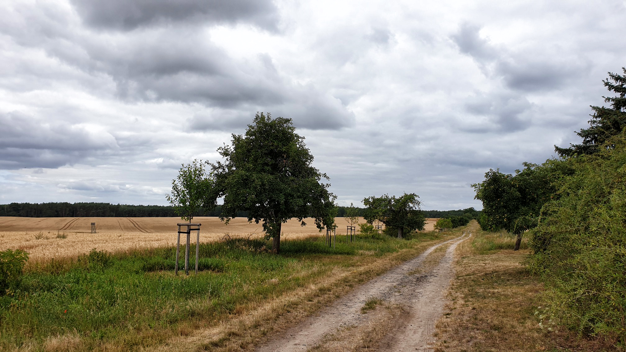 Jakobsweg: Etappe Flatow - Fehrbellin (Bus Flatow - Bus Fehrbellin ...