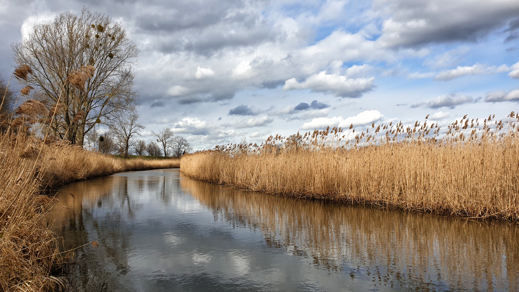 An der Alten Oder entlang von Falkenberg nach Wriezen (RB-Falkenberg ...
