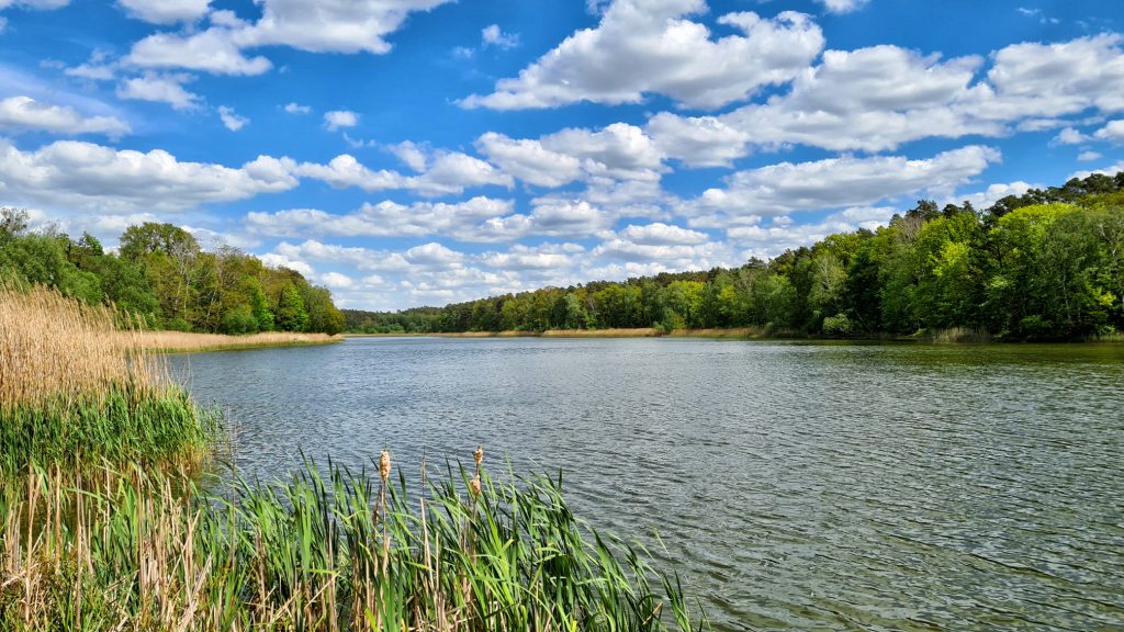Von Löwenberg zum Fontaneschloss Hoppenrade und durch die Rüthnicker ...